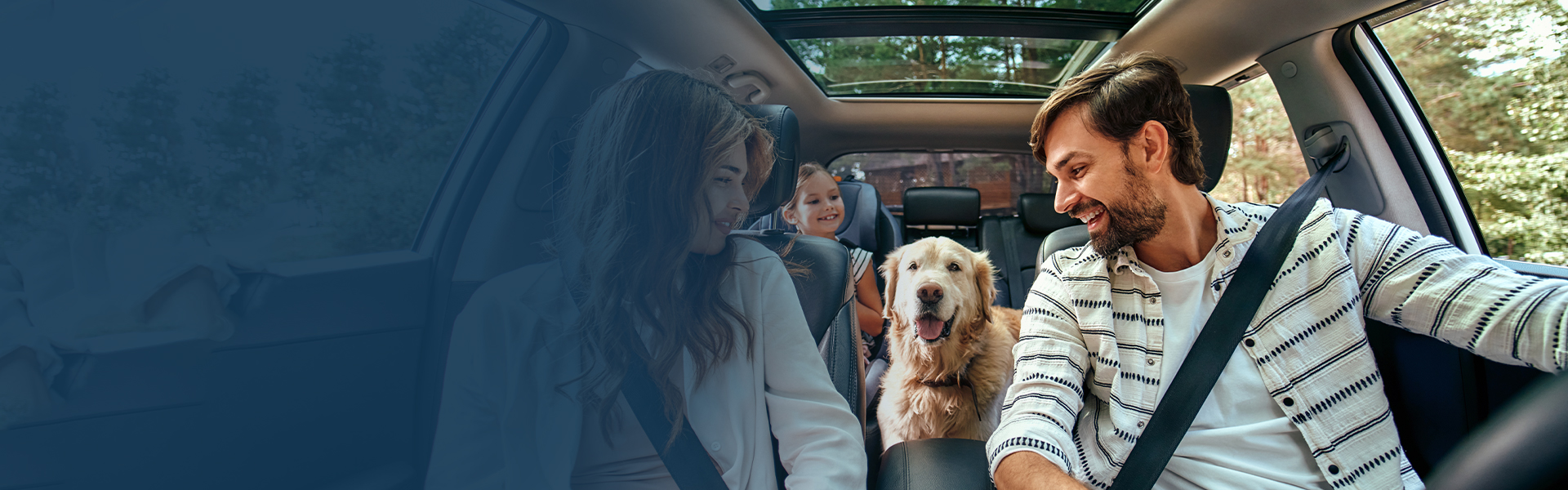 Top-Notch Japanese Used Cars for Sale | Otoz.Ai